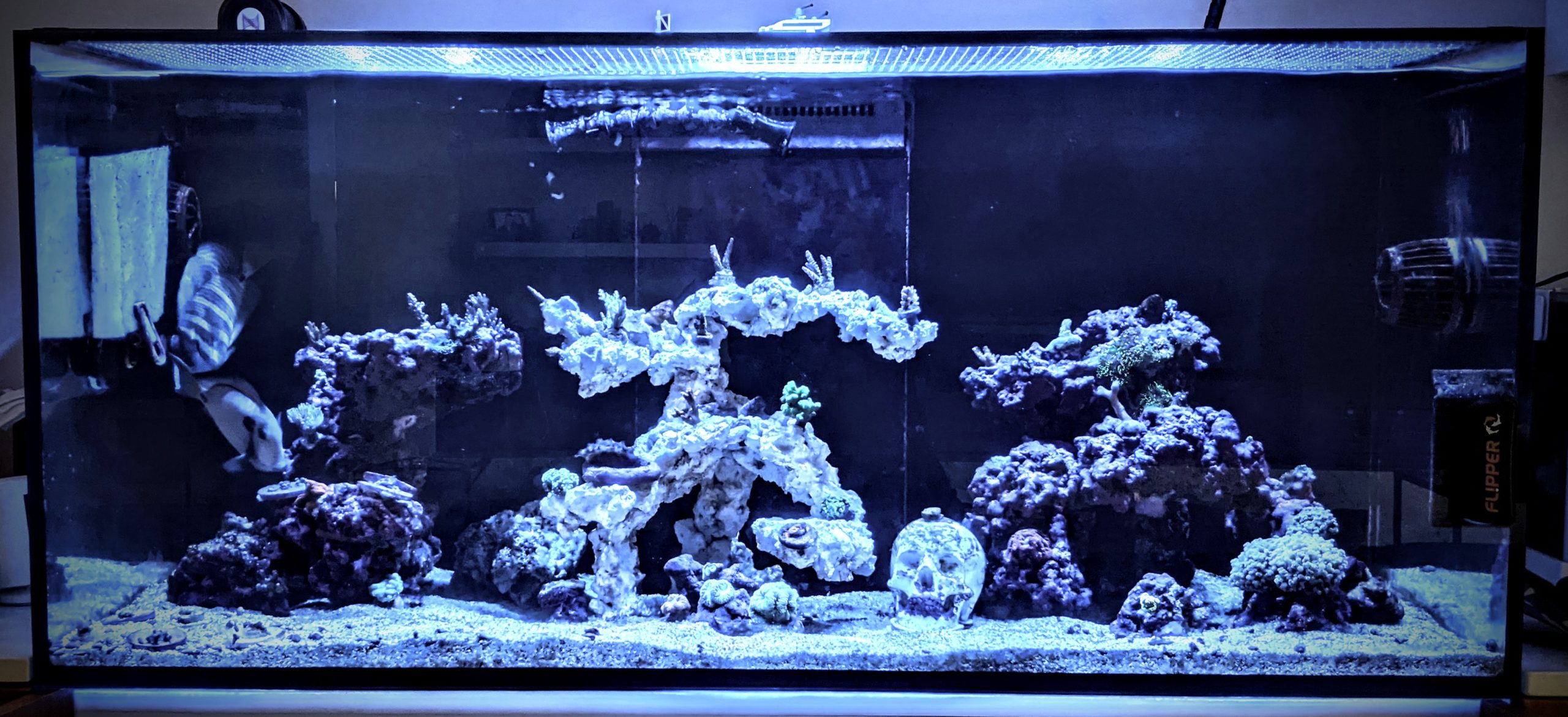 Our Tank. – SplashEngineering