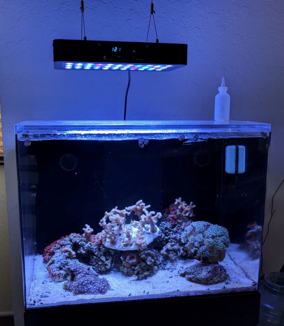 Aquarium Covers. – SplashEngineering