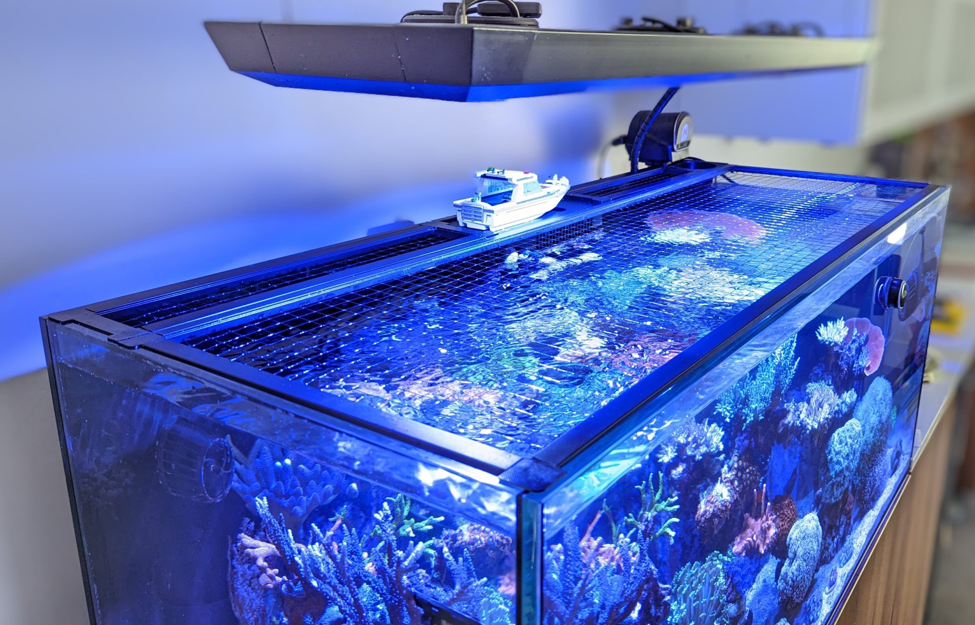 Aquarium Covers. – SplashEngineering