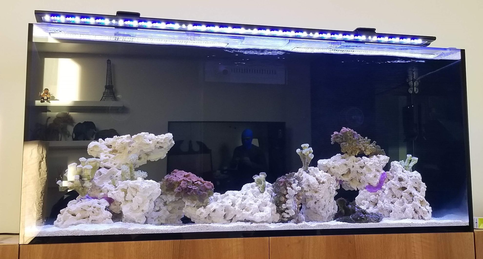 Aquarium Covers. – SplashEngineering