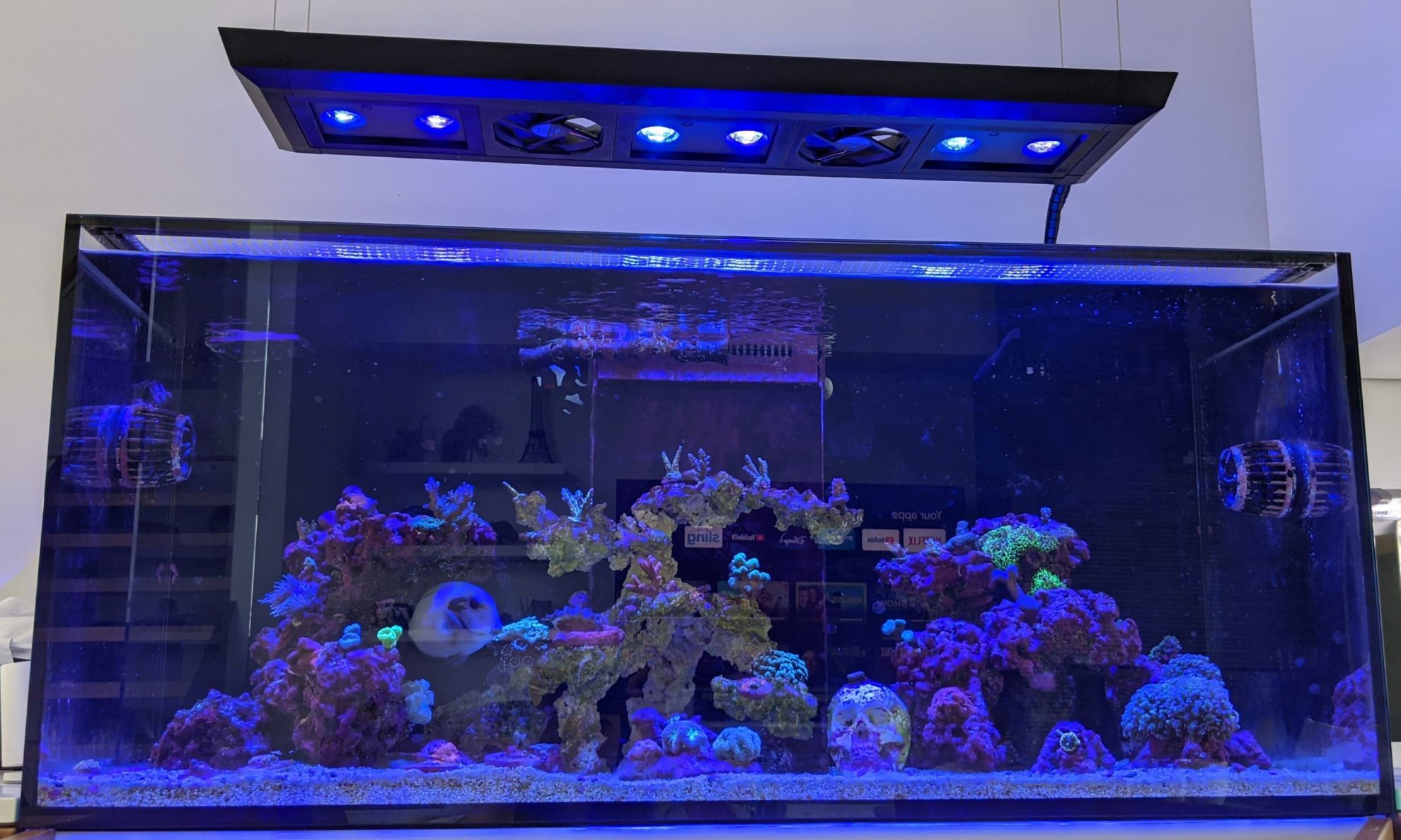 Aquarium Covers. – SplashEngineering