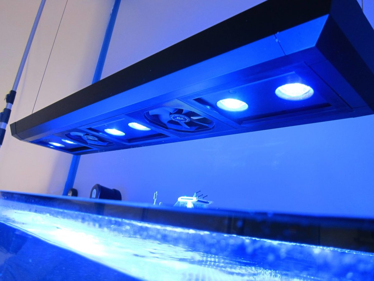 Home – SplashEngineering